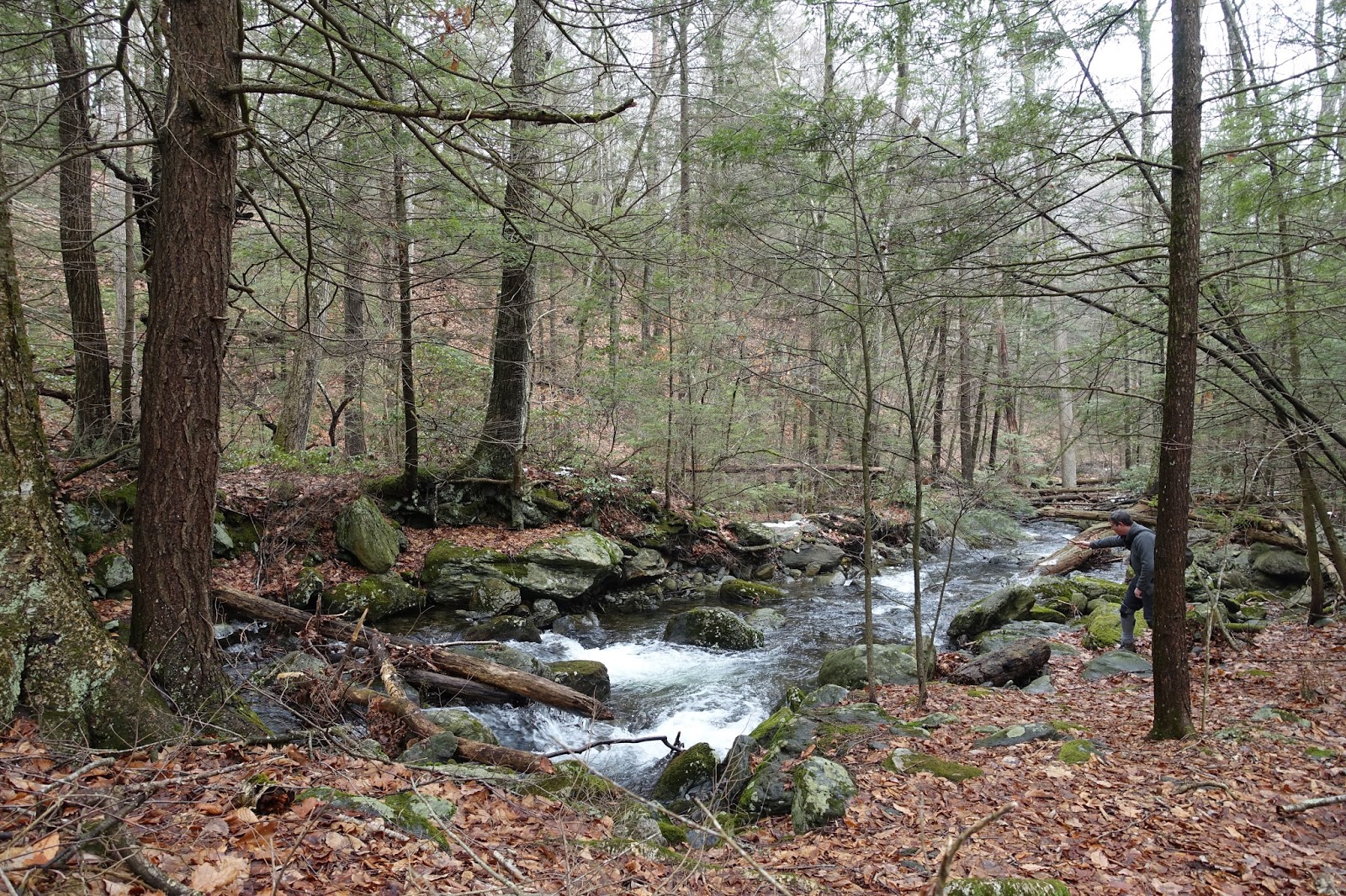Of Rock & Riffle: A Monumental Mid-Winter's Day in a Deep, Dark Ravine