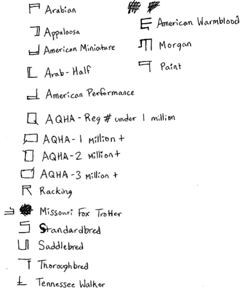 Equine Masterpiece: The Alpha Angle Branding System