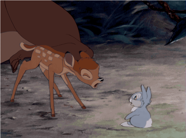 Thumper bambi sow gifs - sendsalo