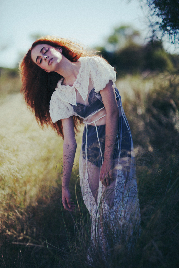 glittering heads dream.: golden bird of the sun.