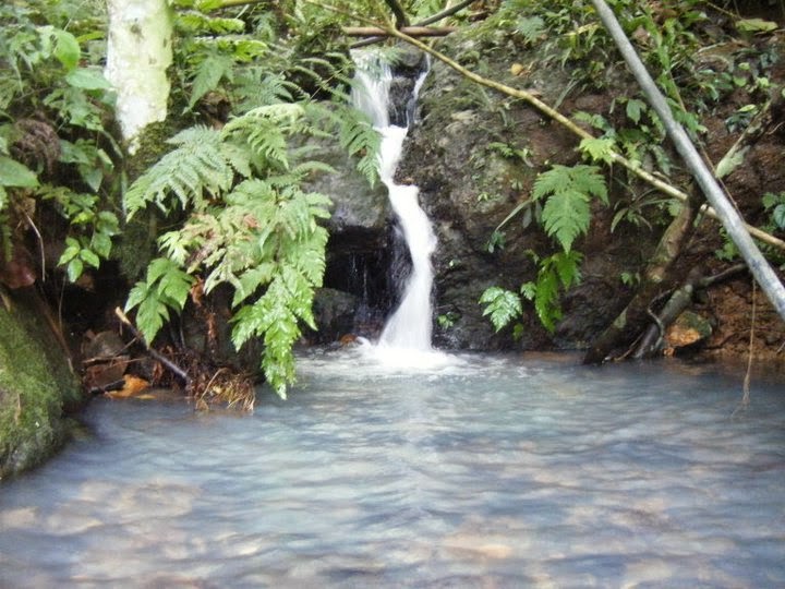 Upland Peasant: Mt. Manabo, Biak-na-Bundok and Mt. Malipunyo 10/30/2010