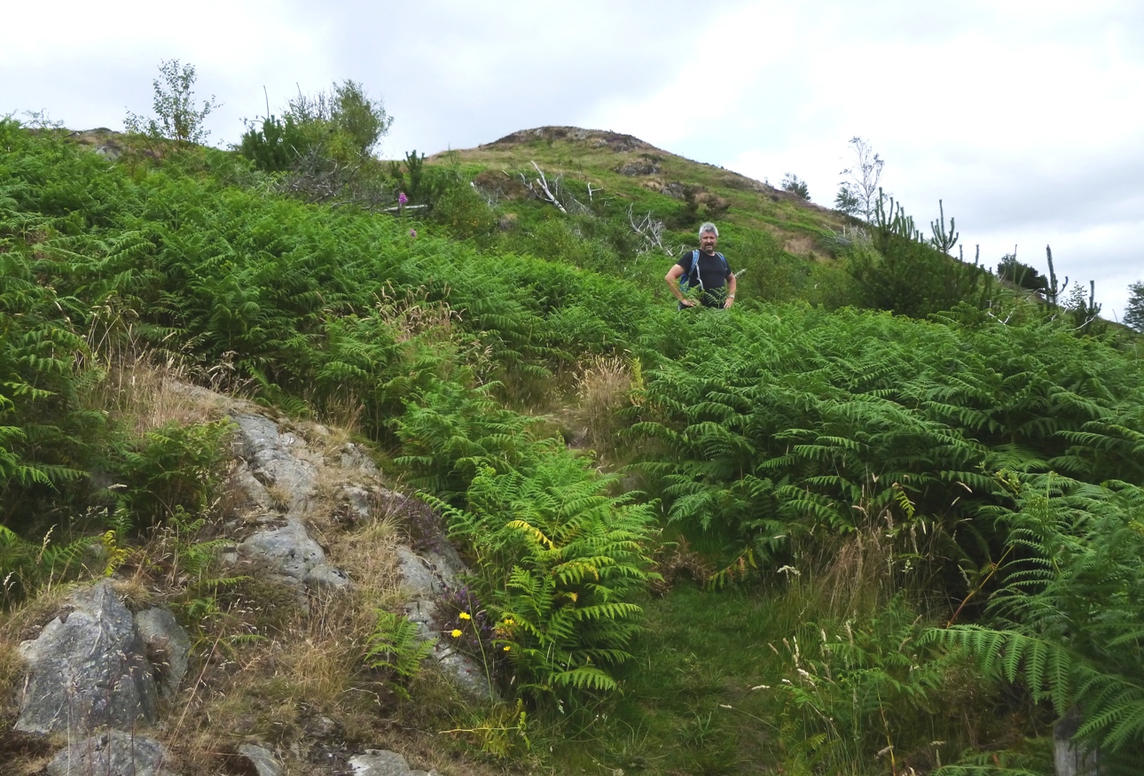 Getting About a Bit - Walking: Irton Pike and a wild night out.