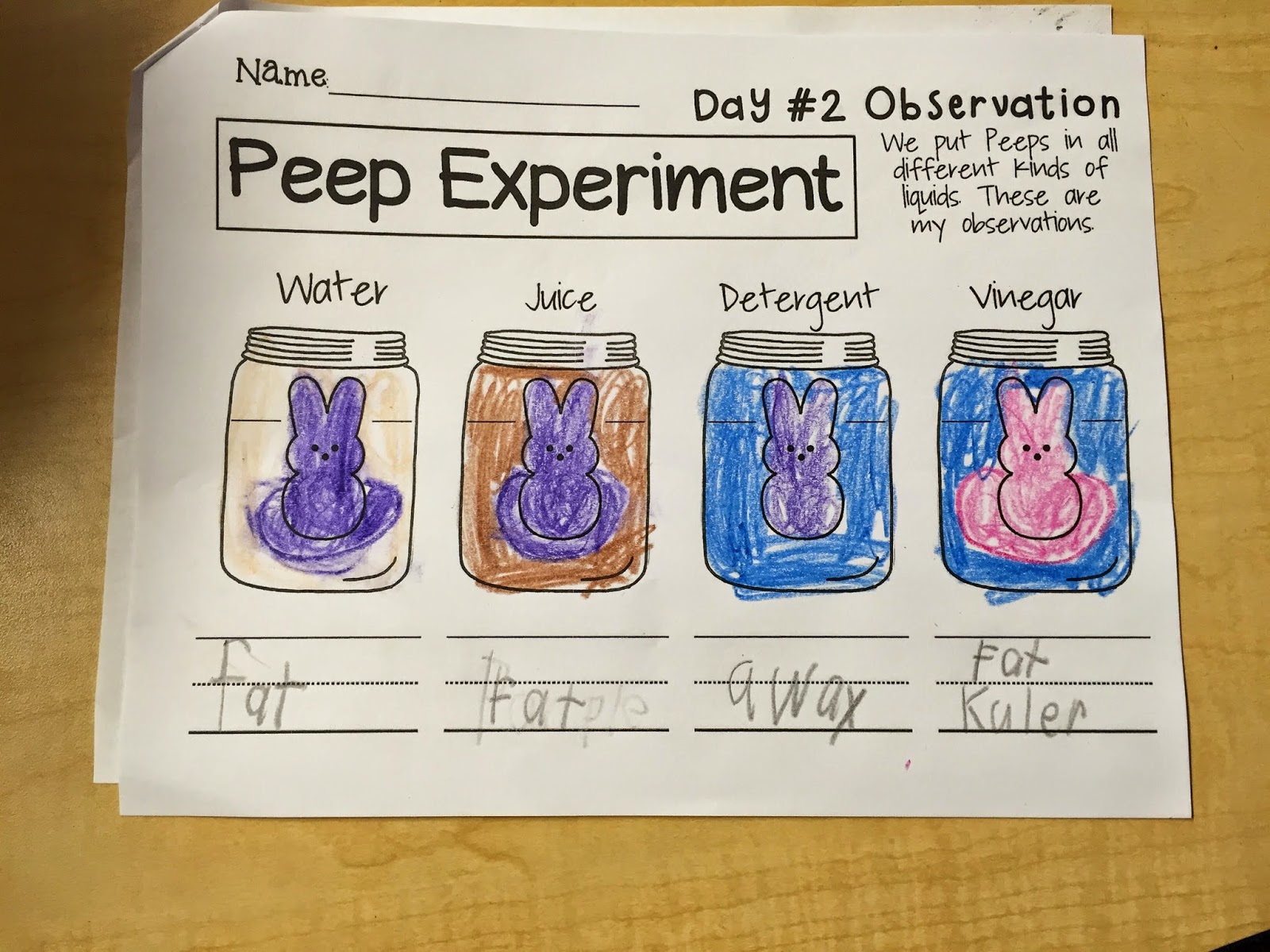 Mrs. Key's Kindergarten Class: Our PEEP Experiment!!