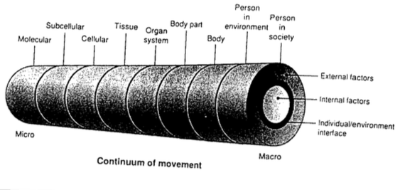 Is There A Science to Physical Therapy?