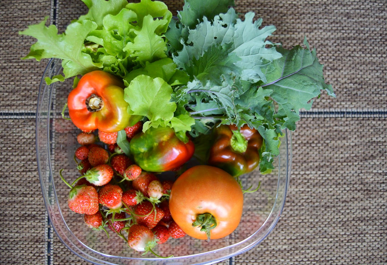 My Five Men: Today, I Puttered