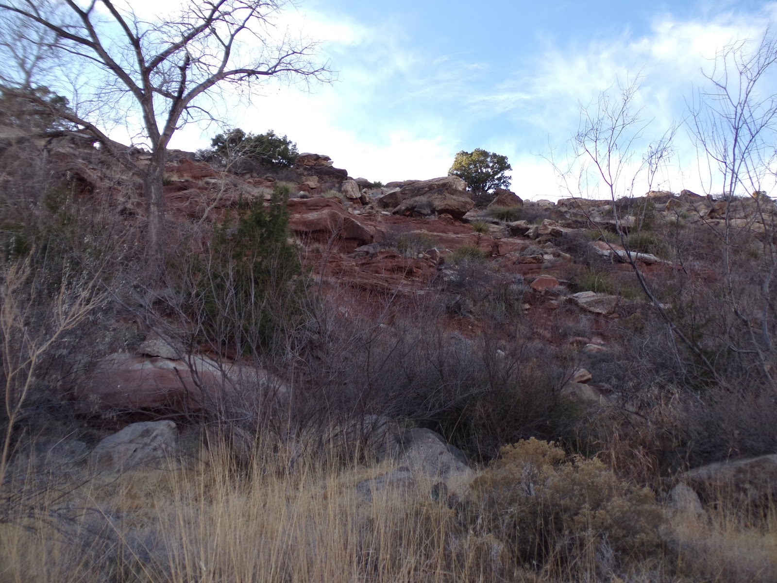 Sumner Lake State Park, Fort Sumner, New Mexico