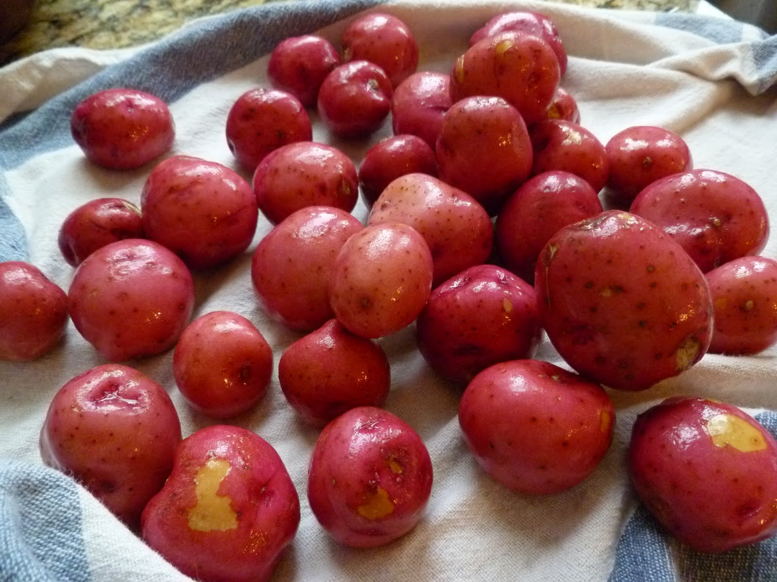 Roasted Baby Potatoes