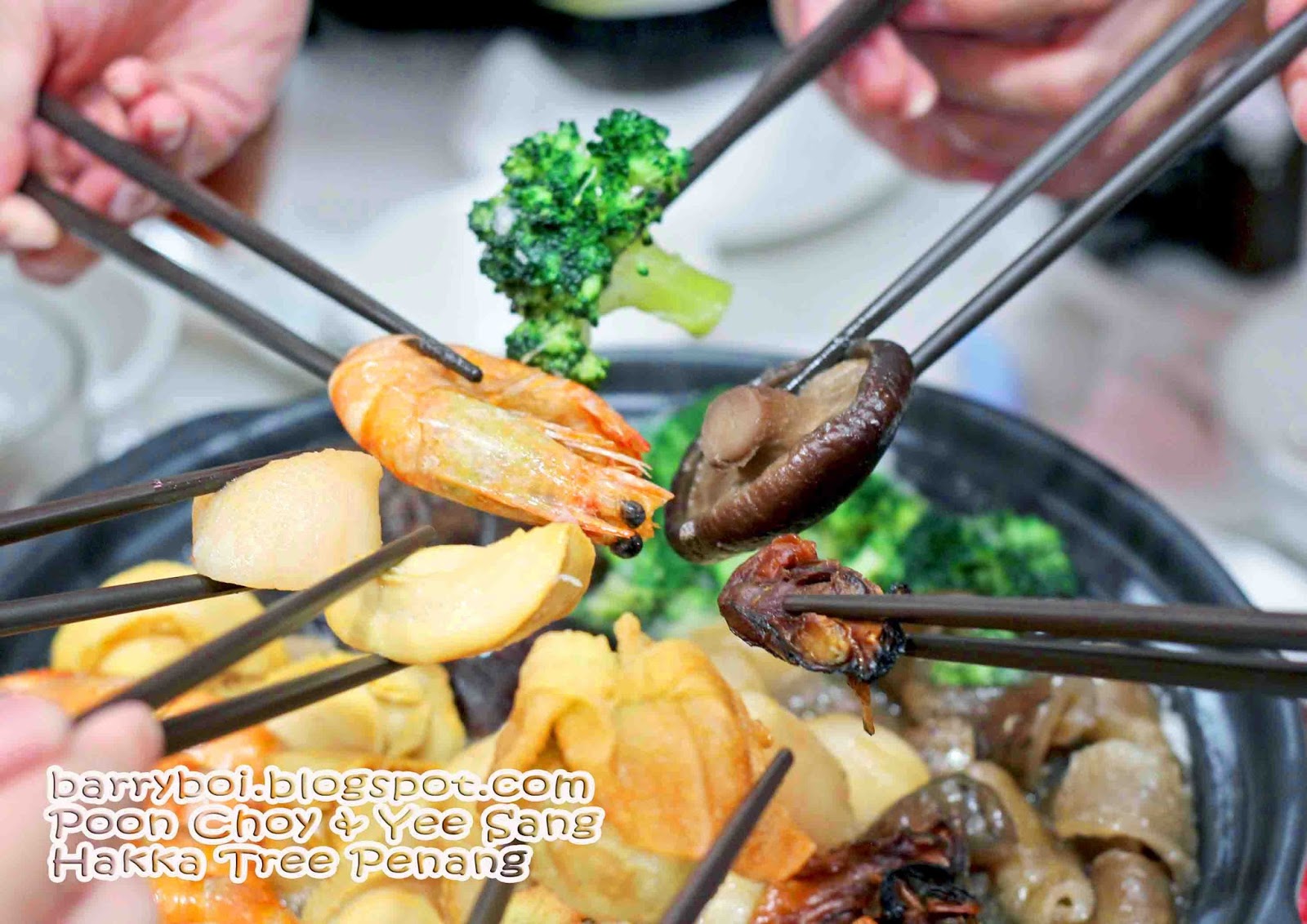 Poon Choy & Yee Sang at Hakka Tree Penang - Gurney Plaza & Tesco ...