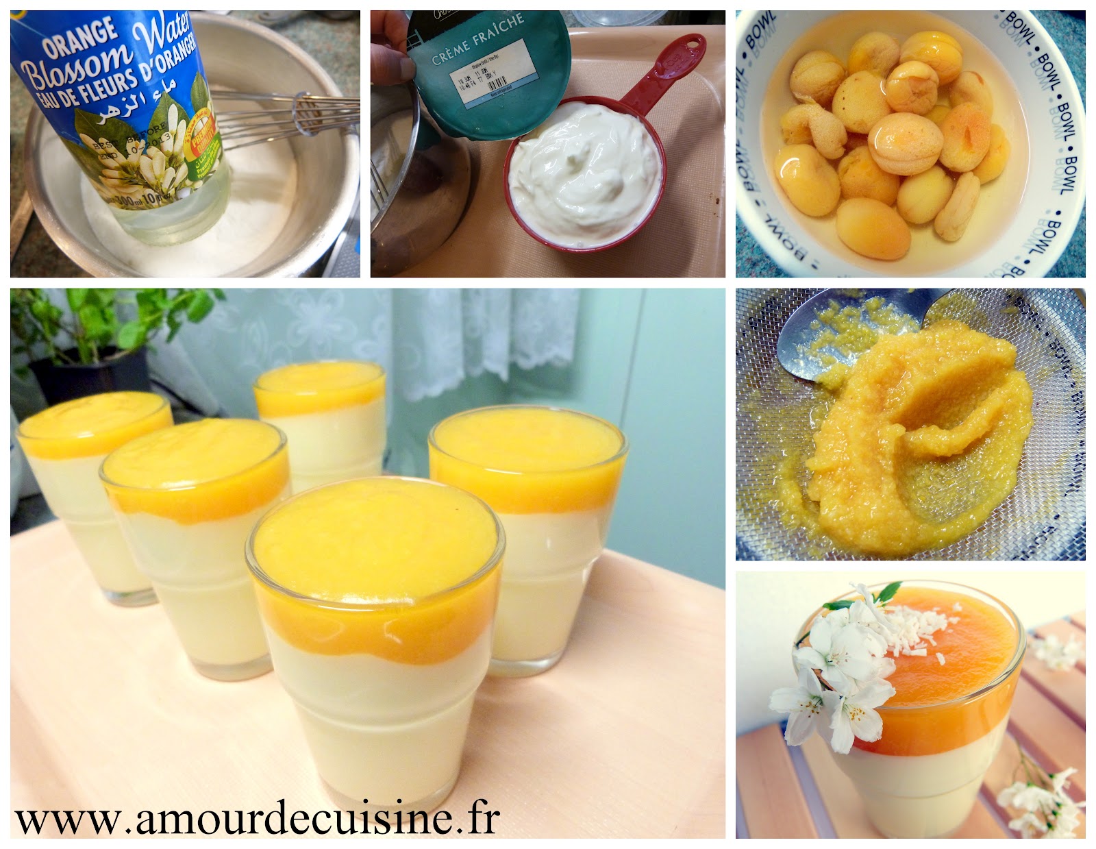 my love of cooking: malabi with apricots, mahalabiya