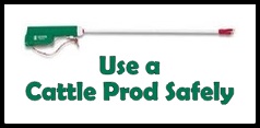 Red Hill General Store: Cattle Prod Safety