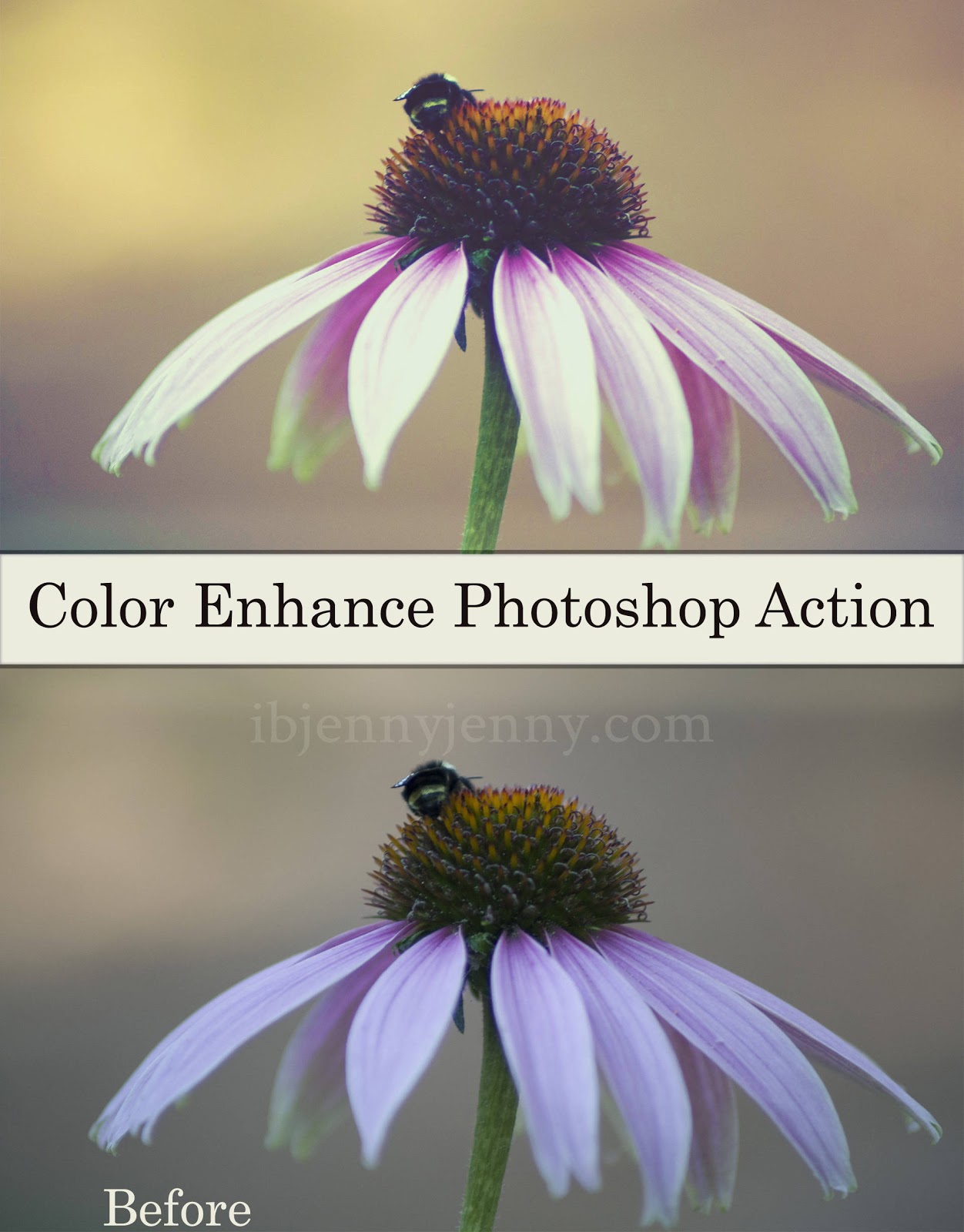 Free Color Enhance Photoshop Action | ibjennyjenny Free Resources
