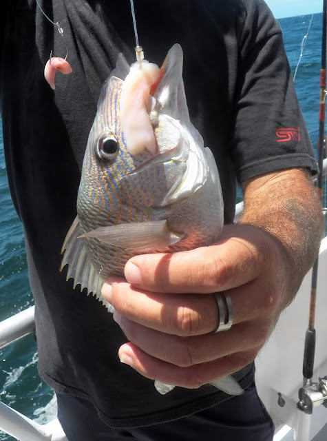 My Backyard: Gone Fishin'