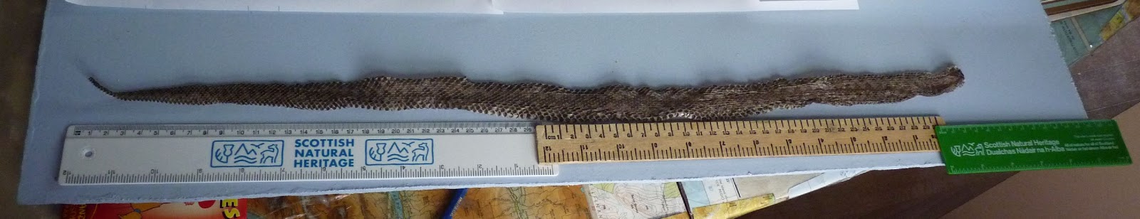 Islay Natural History Trust: April 2013