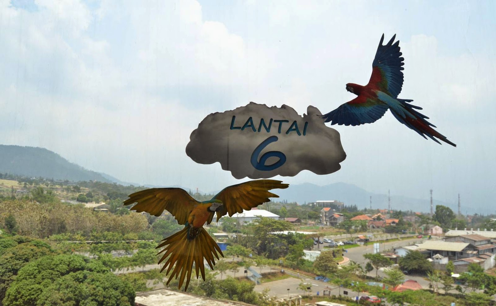 NamNam Bobo di Pohon Raksasa @Pohon Inn Batu-Malang - NamNamStory