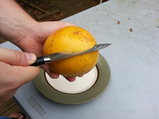 How to Section Grapefruit Like an Expert