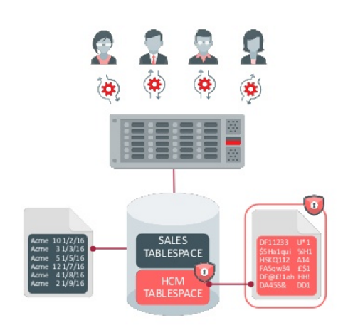DBA From Hell (BDfH): Oracle Database 12c R2 Nueva función: Cifrado de ...
