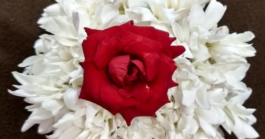 How to string Jathi Poo Chendu? ~ Kurinji Kathambam