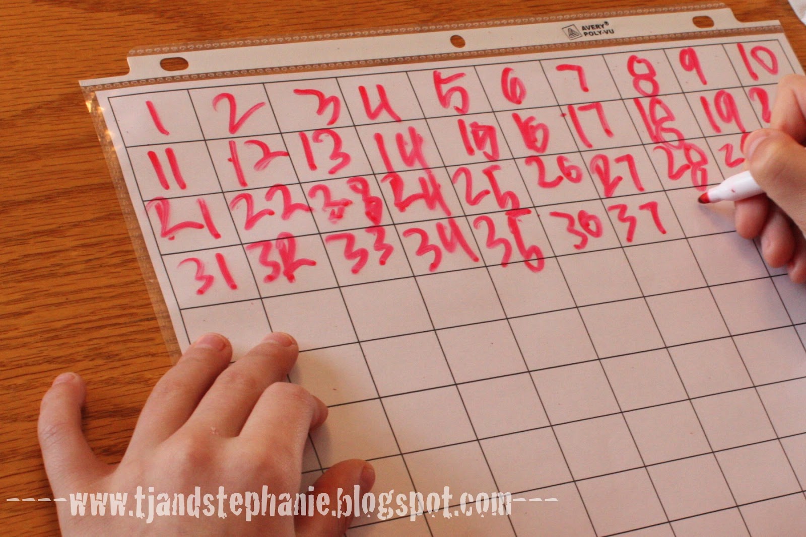 Stephanie s Food And Funnies 1 100 Blank Chart stephanie-s-food-and-funnies-1-100-blank-chart