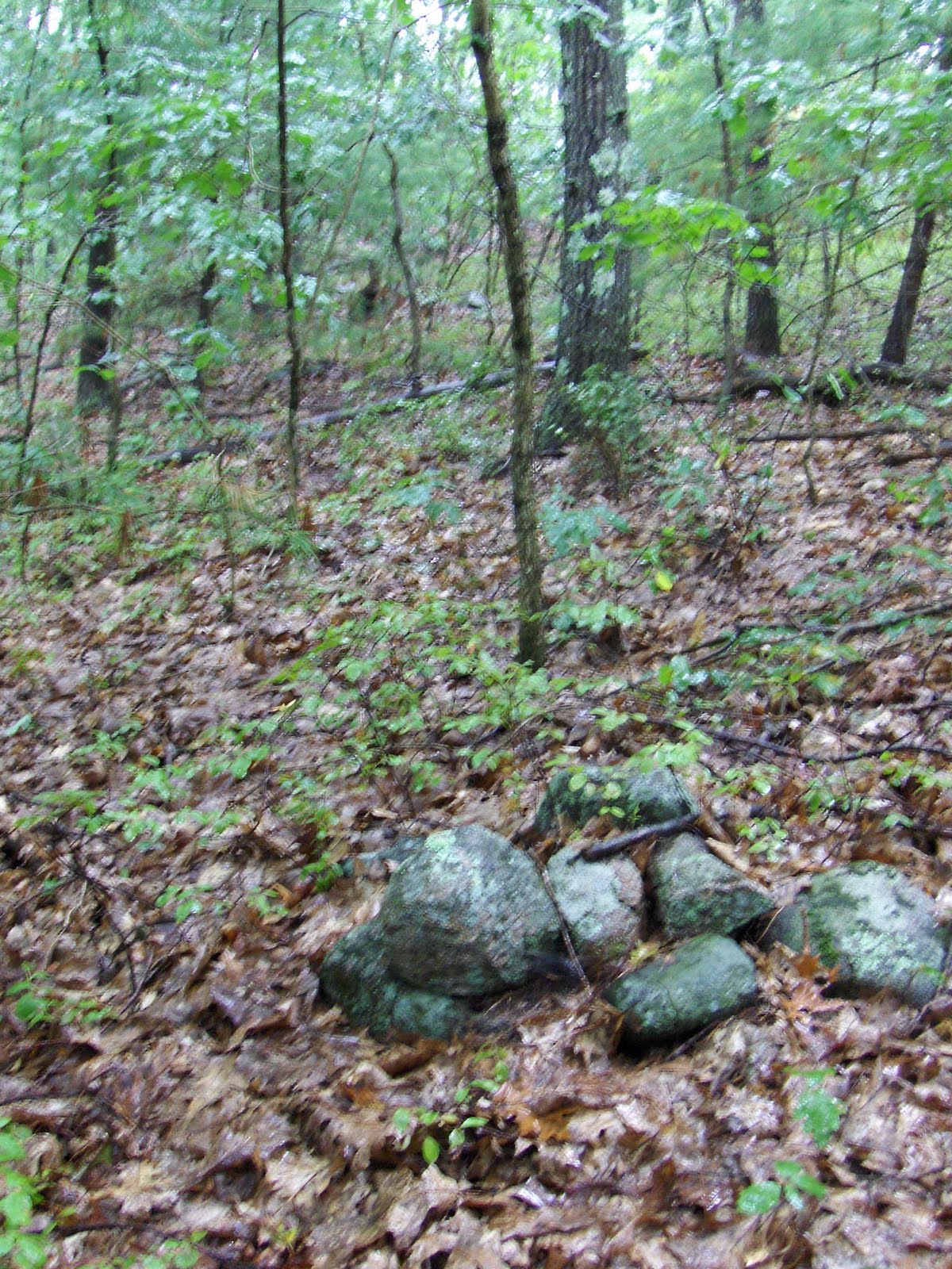 Rock Piles: Wrentham State Forest - small marker pile site and a lesson ...