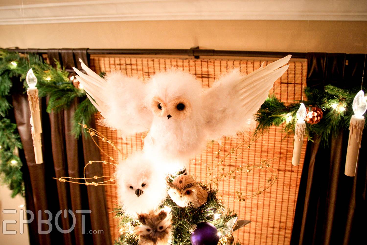 EPBOT: Our Harry Potter Tree 2015