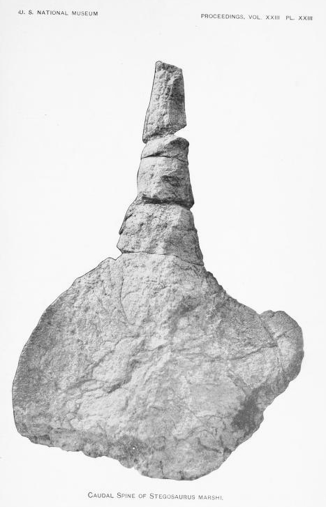 Equatorial Minnesota: Hoplitosaurus