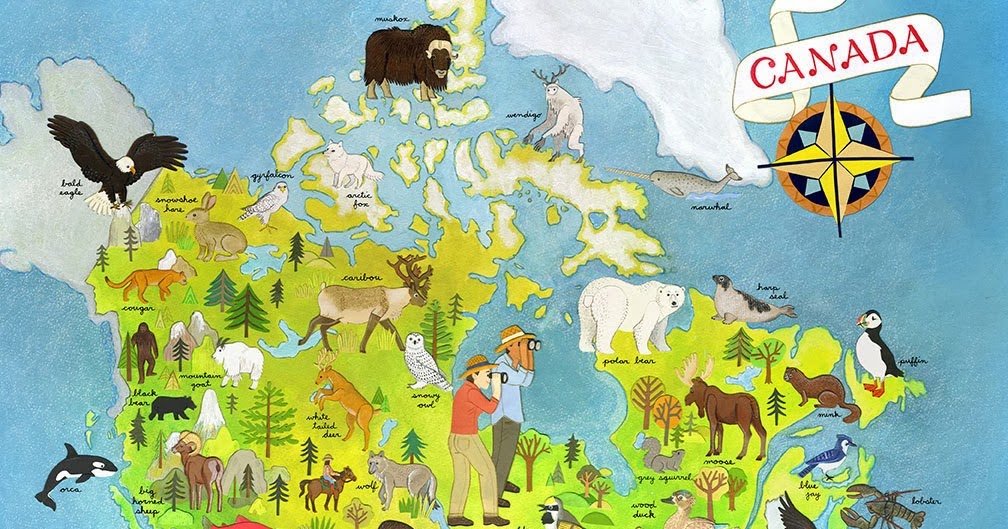 Jessica Rae Gordon: Animals of Canada Illustrated Map