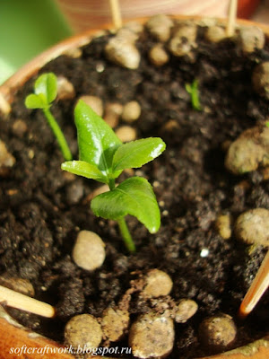 Мягкие рукоделки: Лимонная жизнь