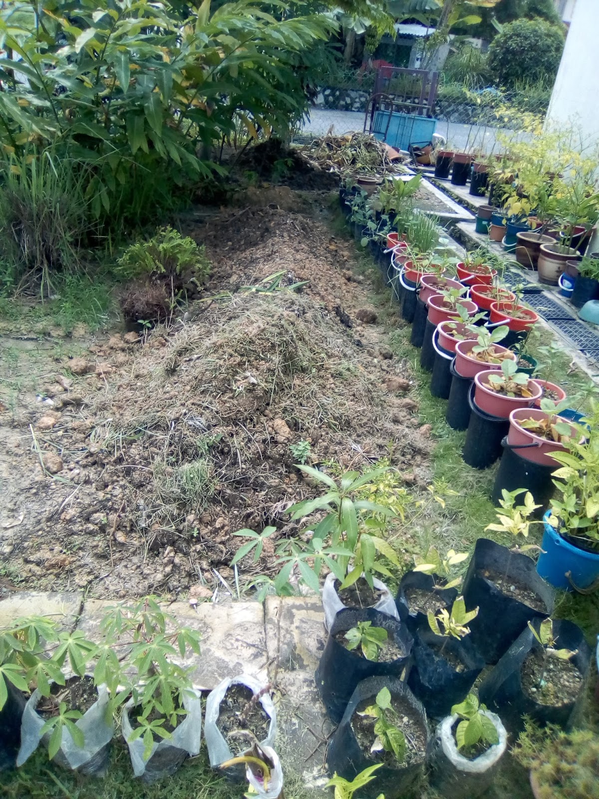 Jom Tanam Sayur ( JTS ) : Potongan Rumput Sebagai Bahan KomposJom Tanam ...
