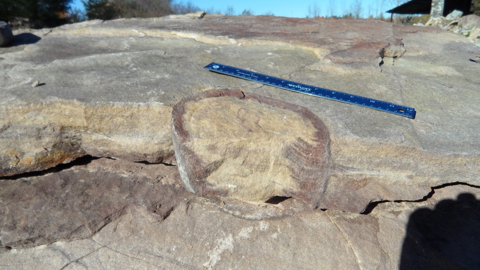 Fossils and Geology of Lanark County, Ontario: The Ellisville Potsdam ...