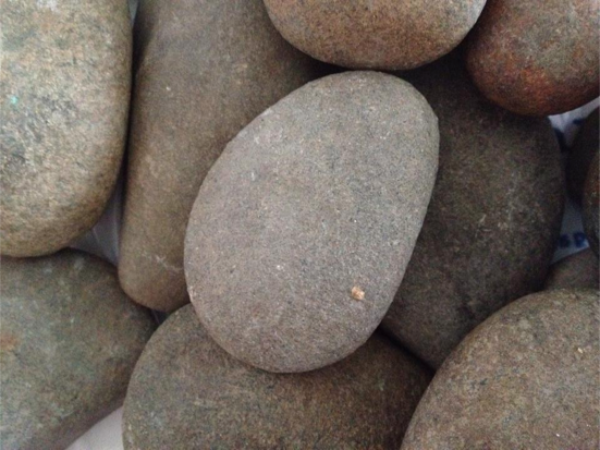 Gifts from the Pirates: "Leave no stone unturned."