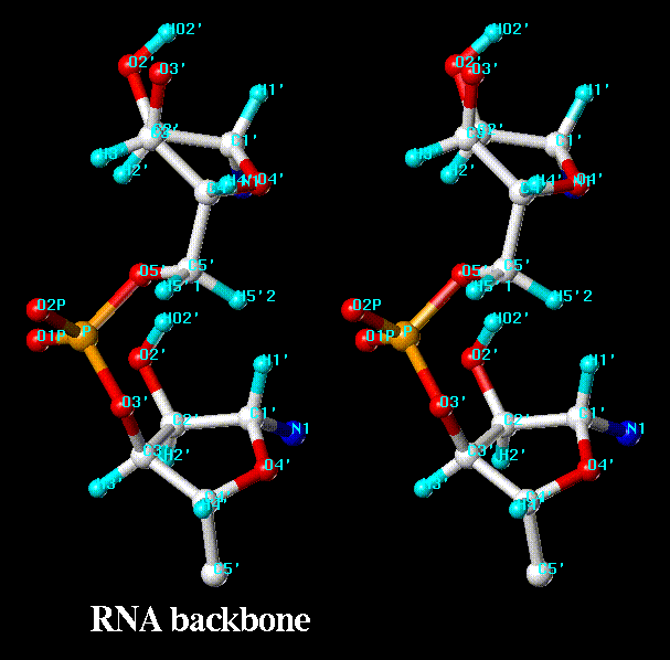 Naws: Self replicating chemistry