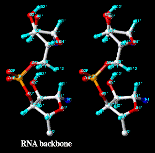 Naws: Self replicating chemistry
