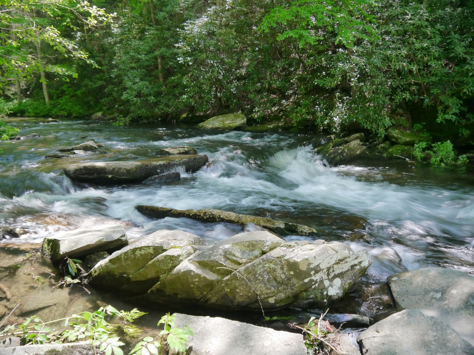 American Travel Journal: Bald River Falls and Kahuna Falls - Cherokee ...