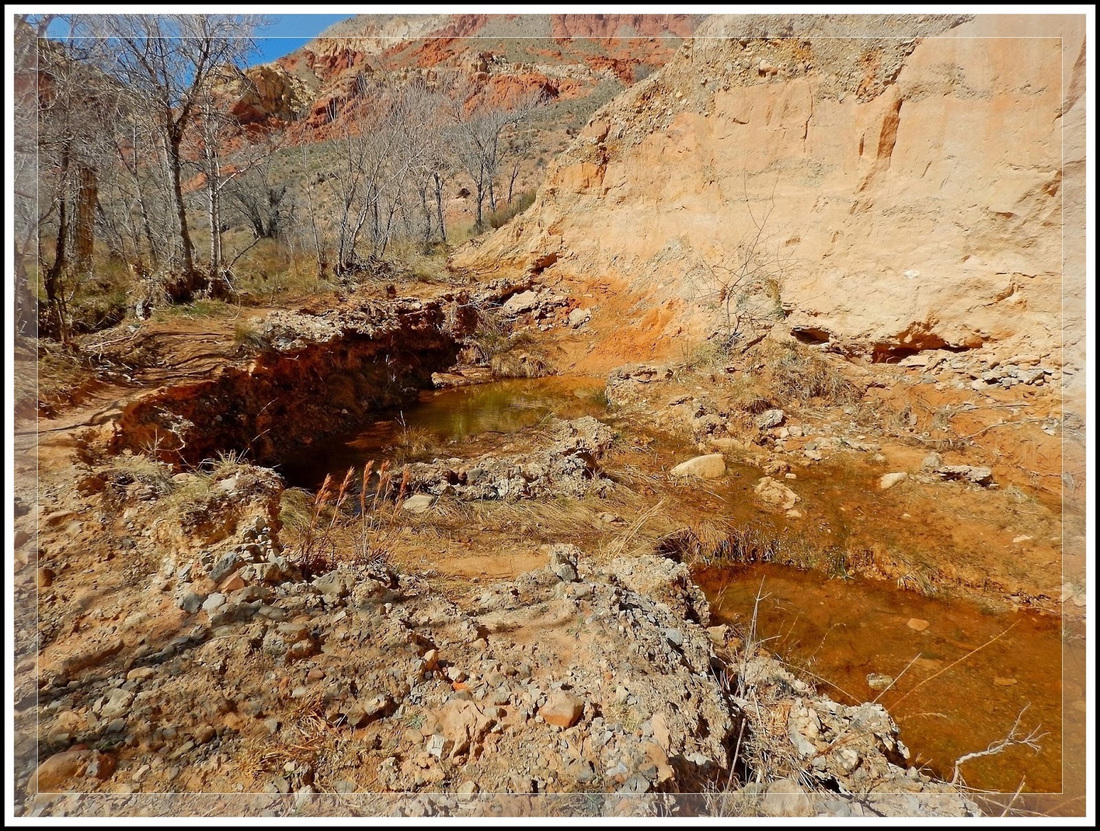 Ken's Photo Gallery: Ash Spring @ Calico Basin - 03/09/2016 Trip Notes