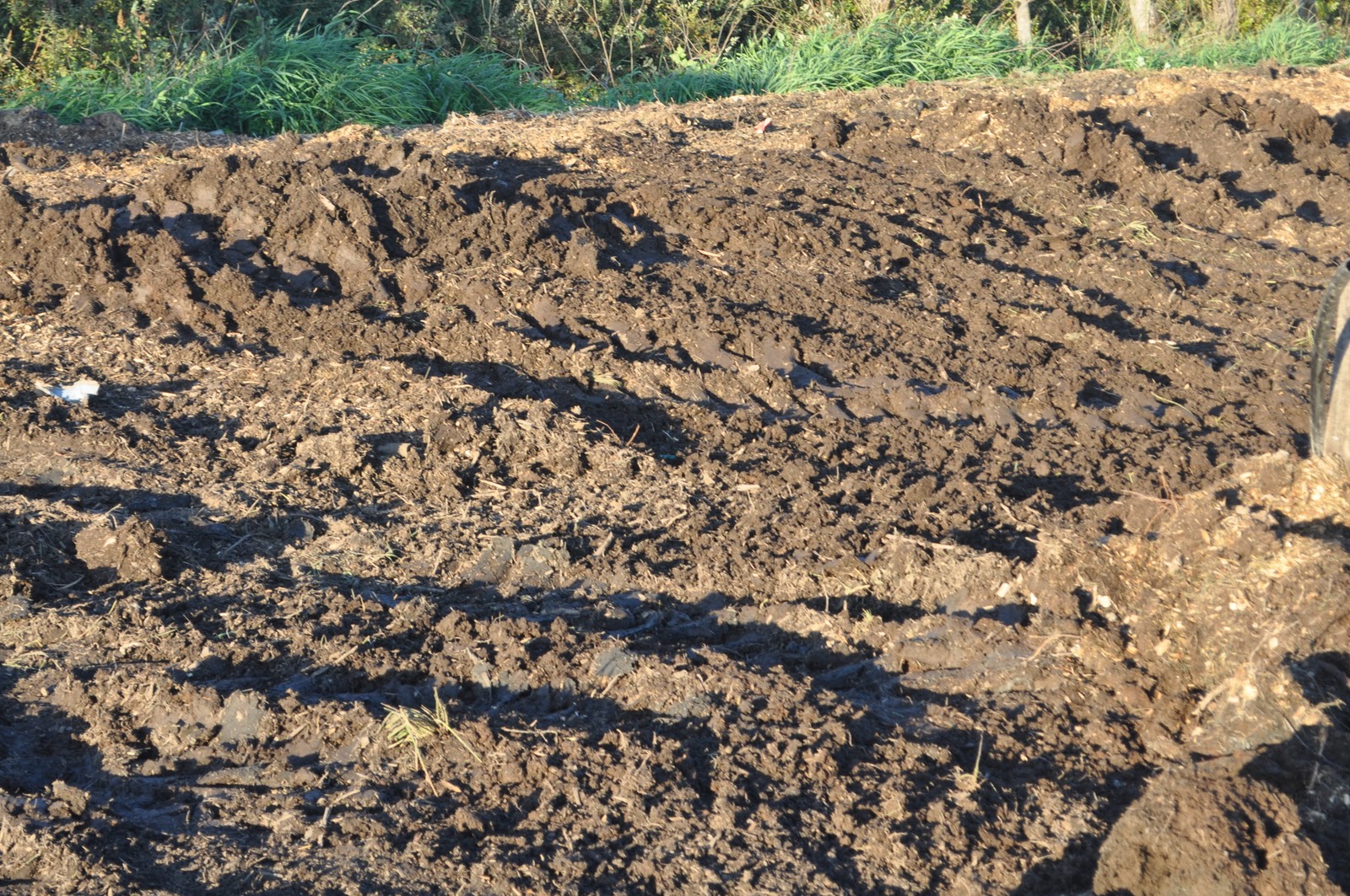 meat: Creating a swale