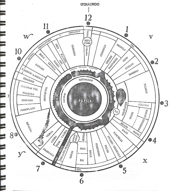Iridologia Madrid: Método Iridológico del Dr. R. Bright.