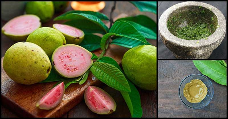 How Guava Benefits Our Skin | Dr Farrah MD