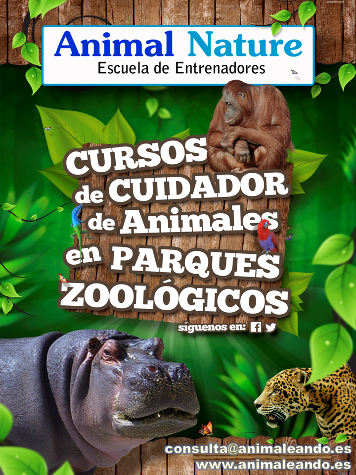 Animaleando: Nuevos Cursos que aún estás a tiempo de apuntarte!