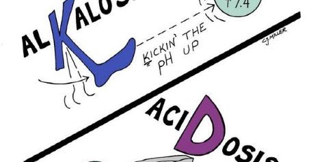 Penjelasan Mengenai Asidosis dan Alkalosis | Arifuddin, S.Kep