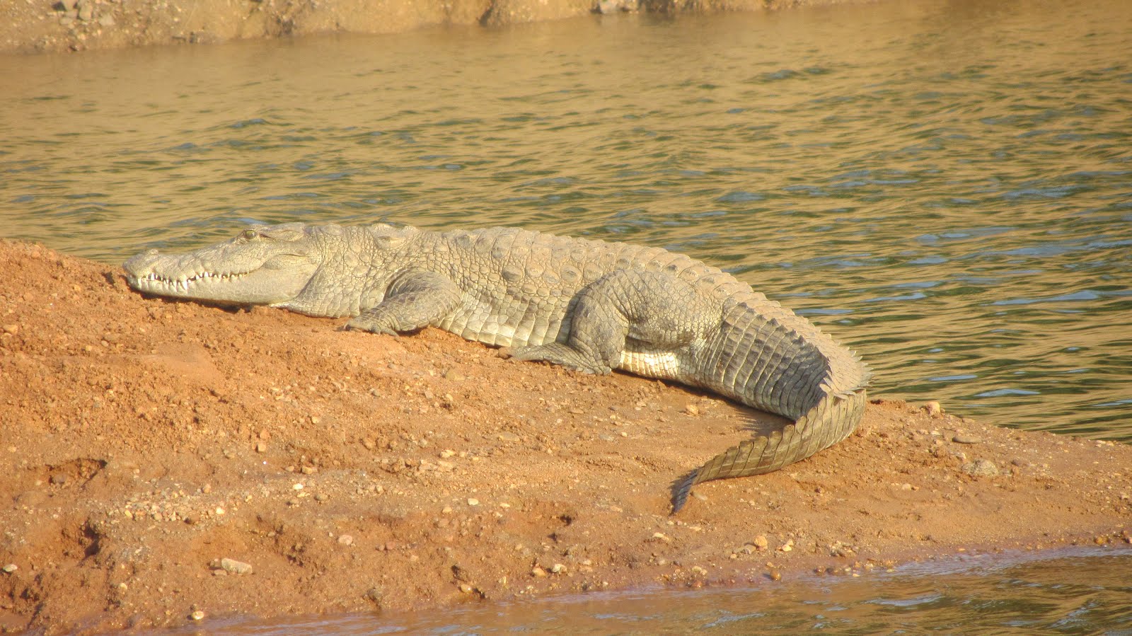 Bharat PhotoBlog: Madhya Pradesh
