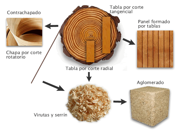 MADERAS TRANSFORMADAS 1ºA: TRANSFORMACIÓN DE LA MADERA