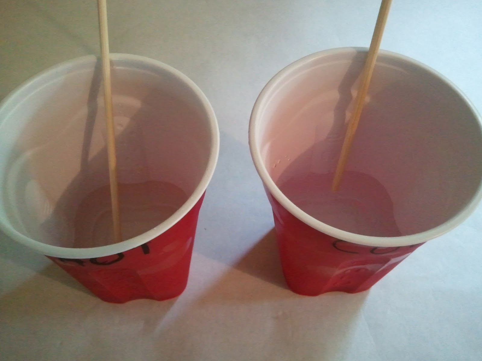 Visualizing Chemistry: Activity 1: Scientific Method/States of Matter