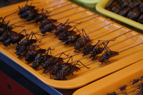 A Field Guide to Chinese Street Food: Street Food on The Bitten Word