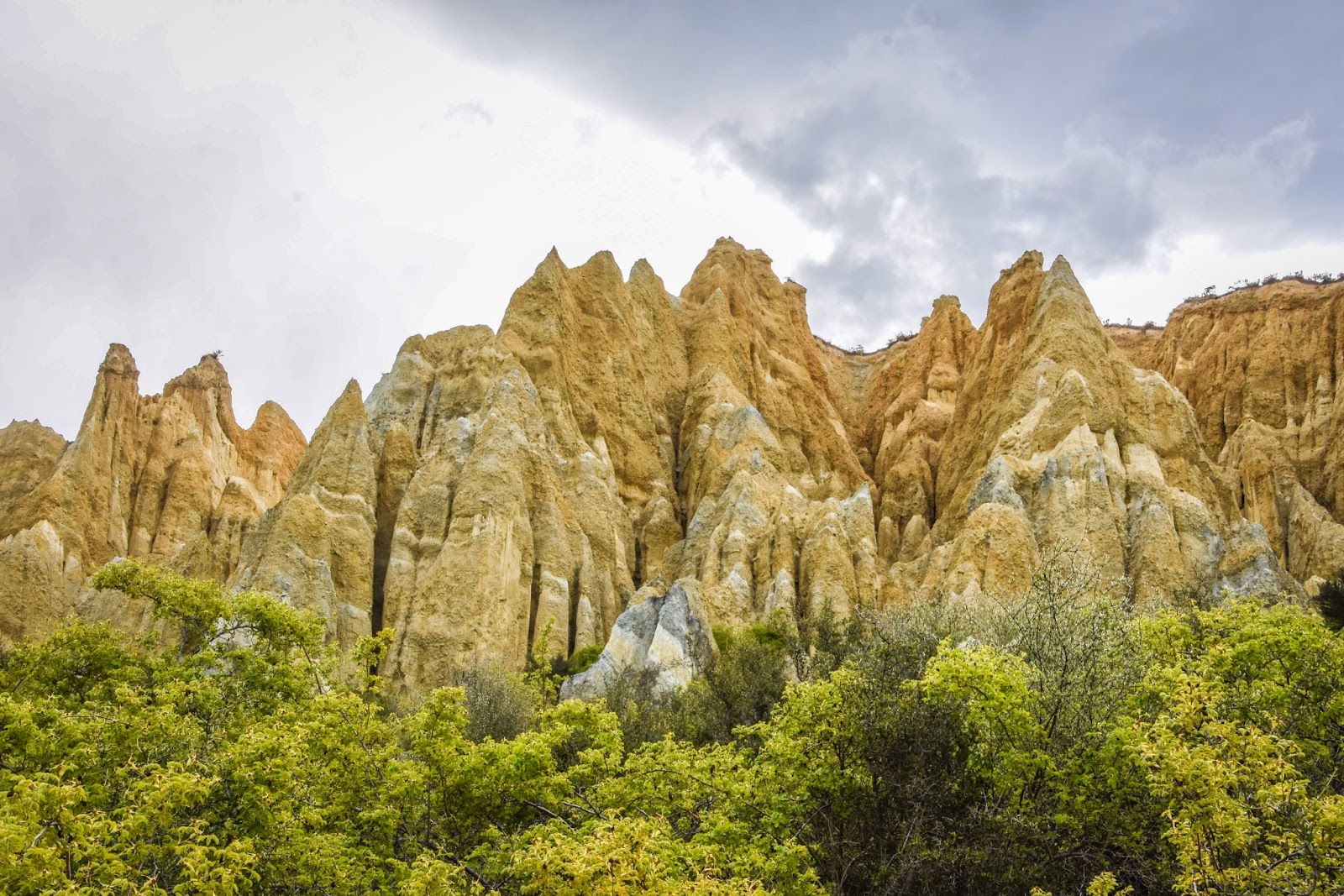 Paws Awhile: Omarama's Clay Cliffs