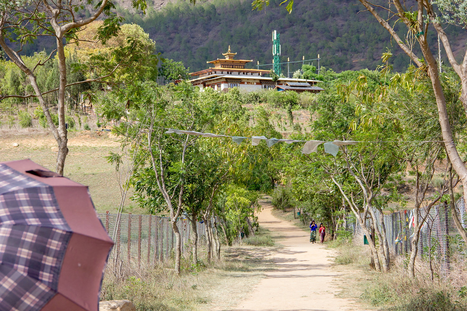 The Traveller: Folklores from Bhutan ~ Phallus paintings on walls