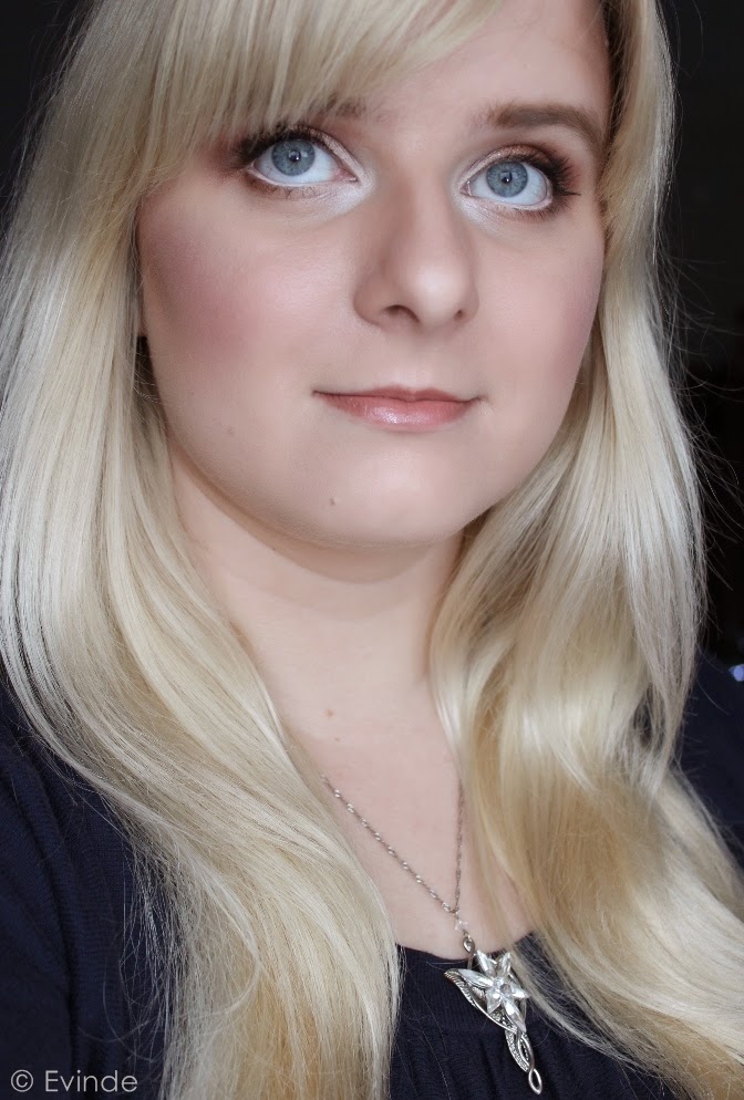 Warm Makeup Look Using Coastal Scents Hot Pots | Review | Evinde's Blog