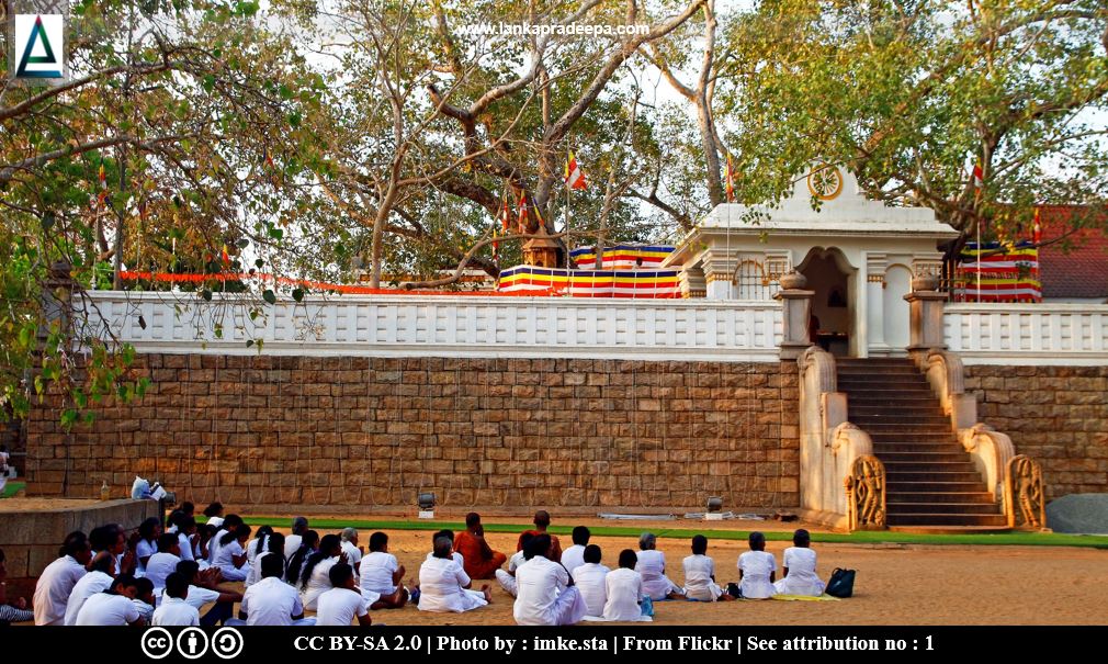 Sri Maha Bodhi Tree (Anuradhapura) | Lanka Pradeepa