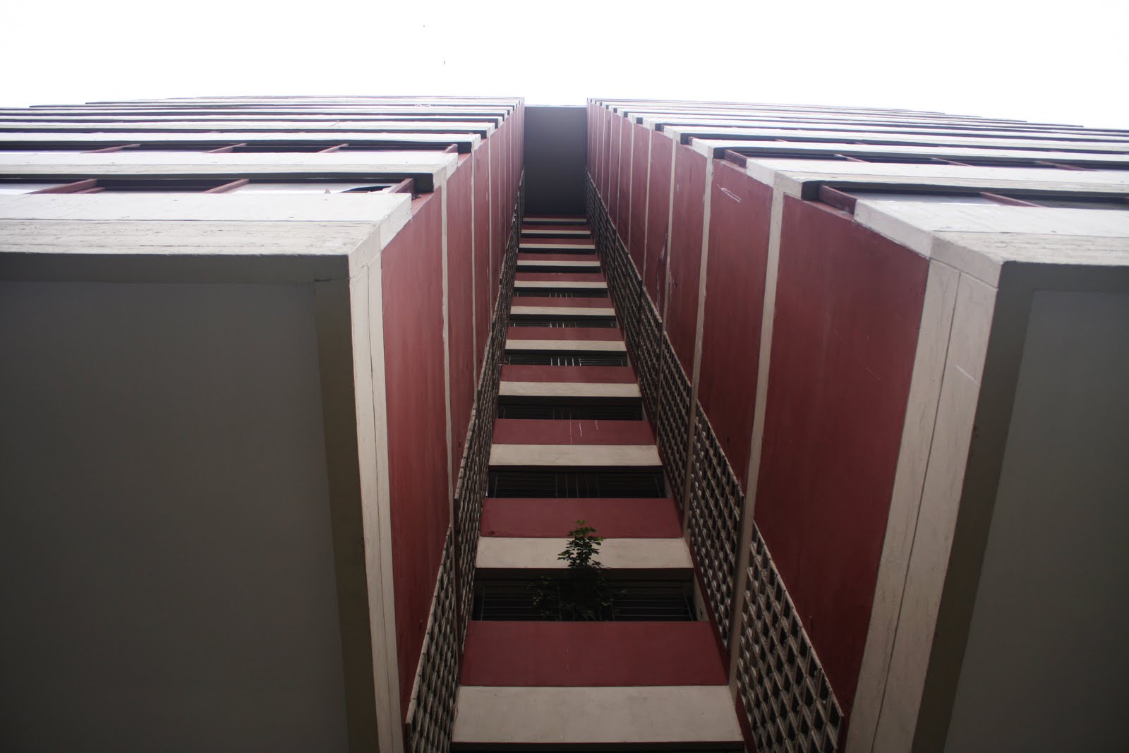 Composición y Diseño: Punto de Fuga