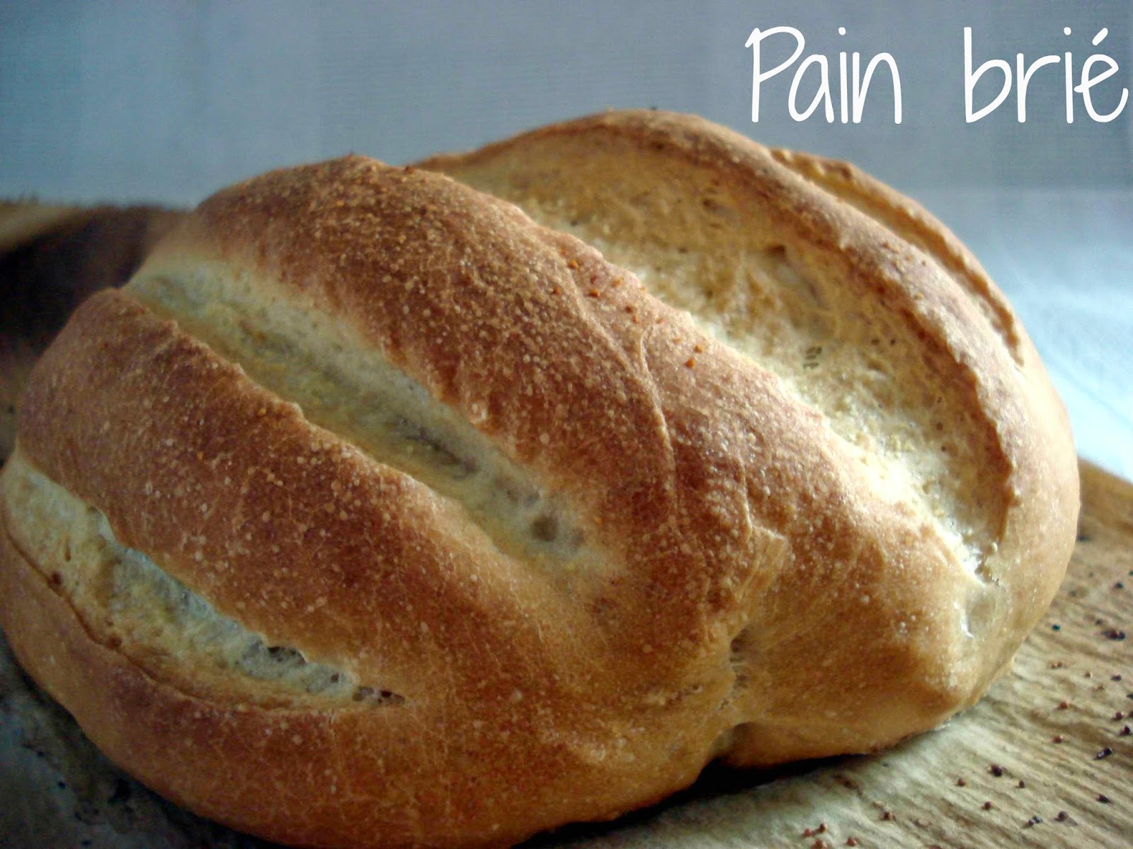 Mi abuelita Caro: Pain brié