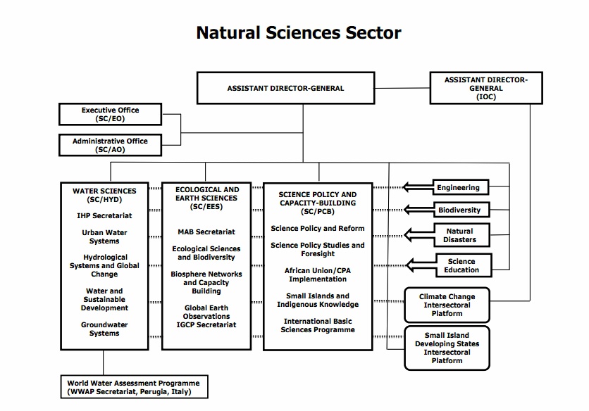 UNESCO in the Spotlight: Science and Communications: Reorganization of ...